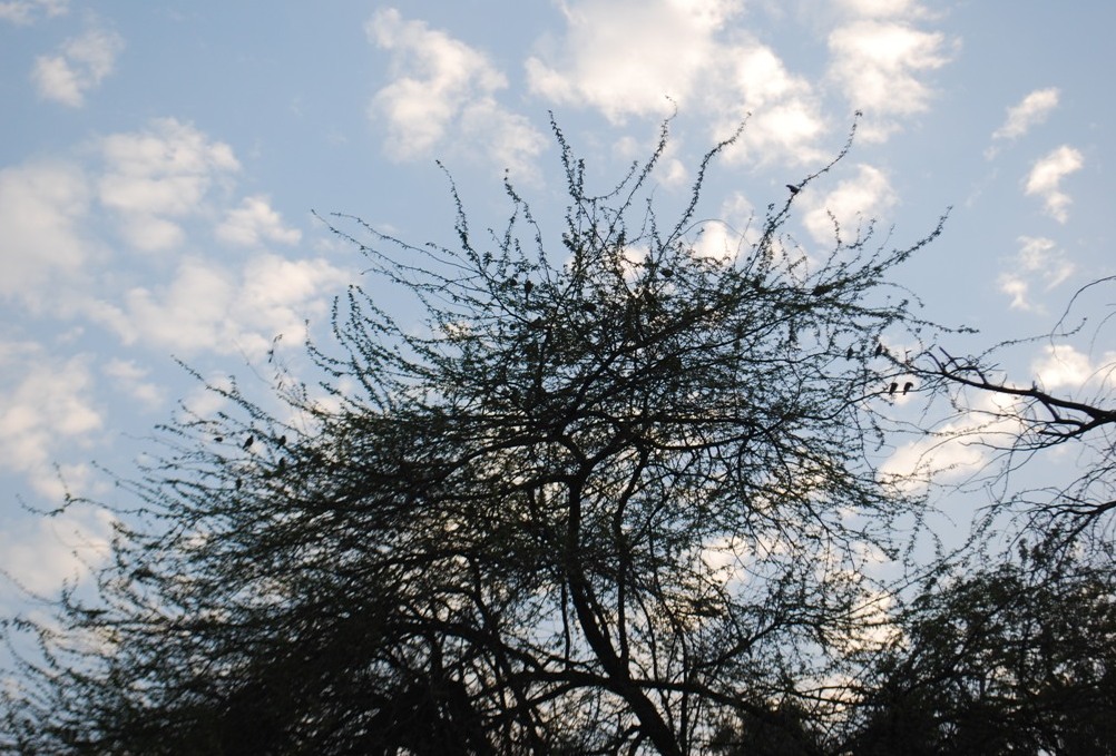 BLOWN AWAY – Ravenhawks' Magazine Magick for Mind Body and Soul