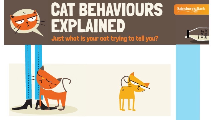 #Infographic: Understanding your Cat’s Behaviours – Ravenhawks ...