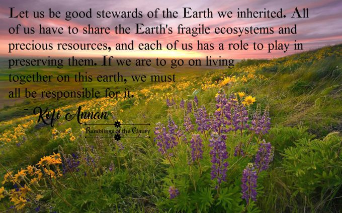 Ravenhawks' Magazine Magick for Mind Body and Soul