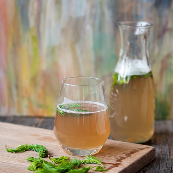 Pine needle syrup – Ravenhawks' Magazine Magick for Mind Body and Soul