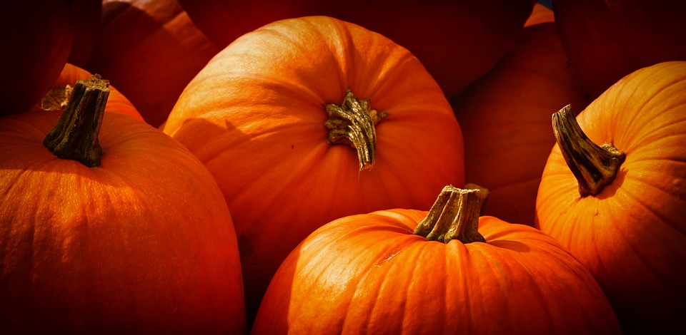 Meat Harvest Recipes: Roasted Pumpkins with Bacon and Brown Sugar ...